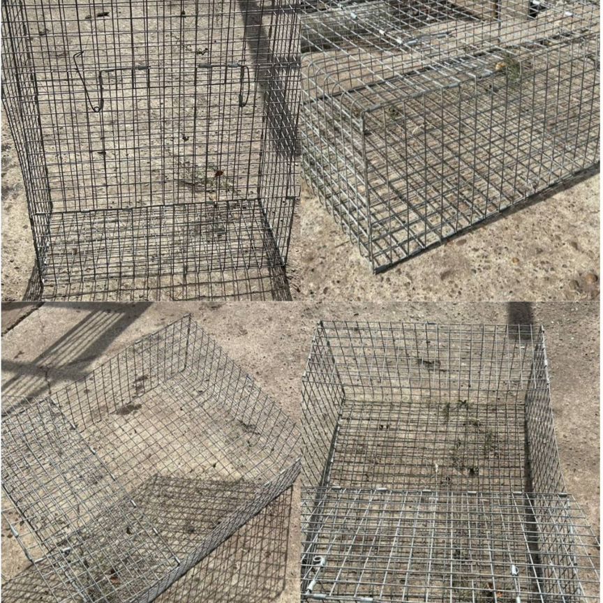 Сетка для переноски птиц