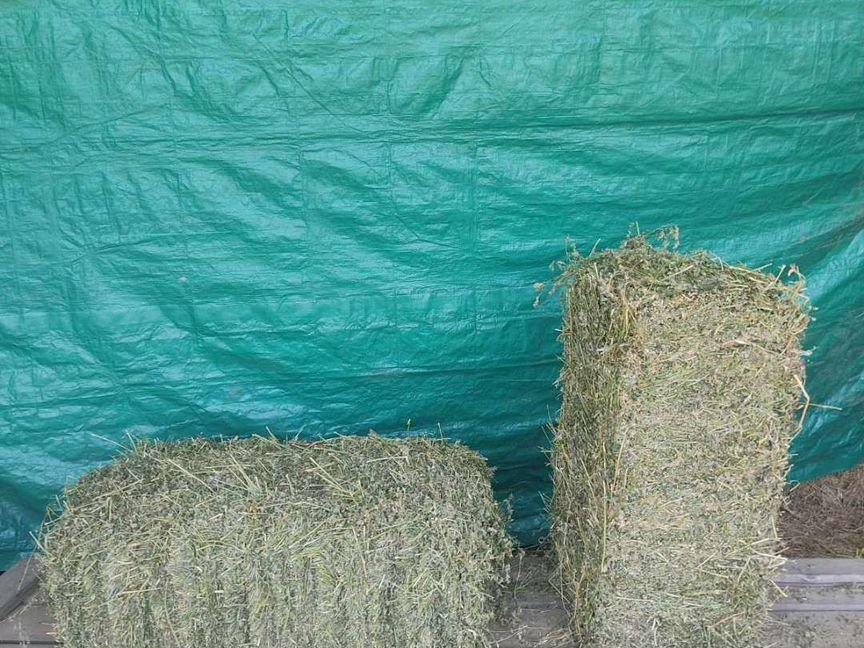 Сено люцерны в тюках