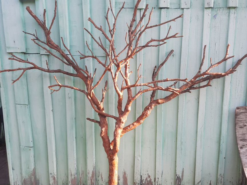 Коряга декоративная