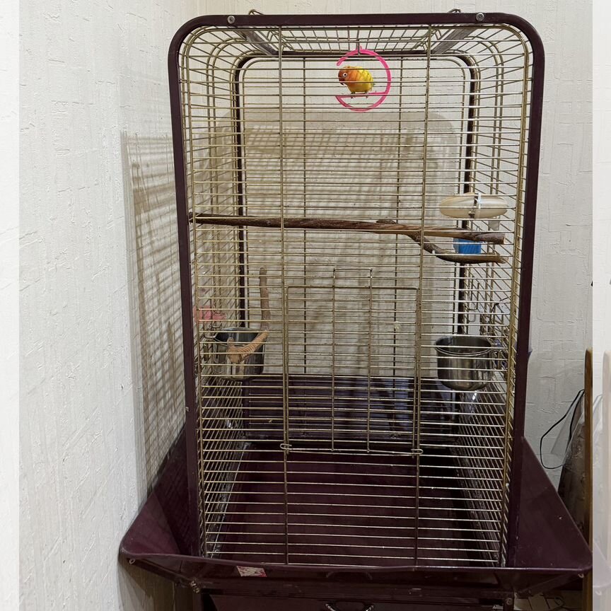 Клетка для больших попугаев