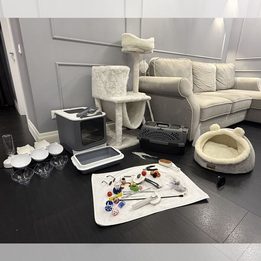 Полный набор вещей для котика