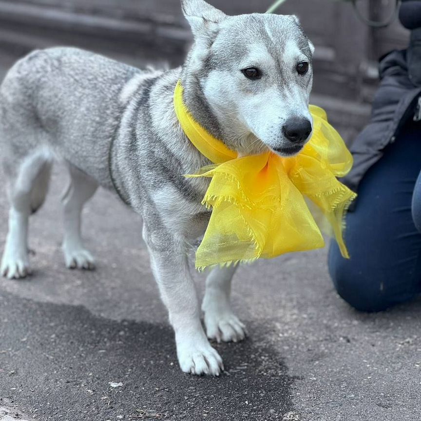 Холодно и одиноко в клетке