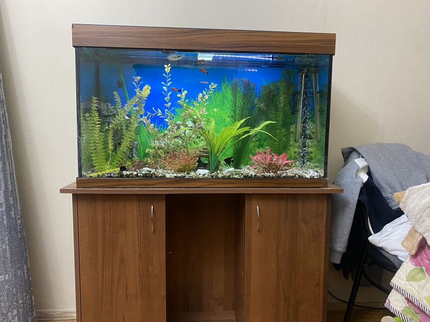 Аквариум 200 литров с тумбой