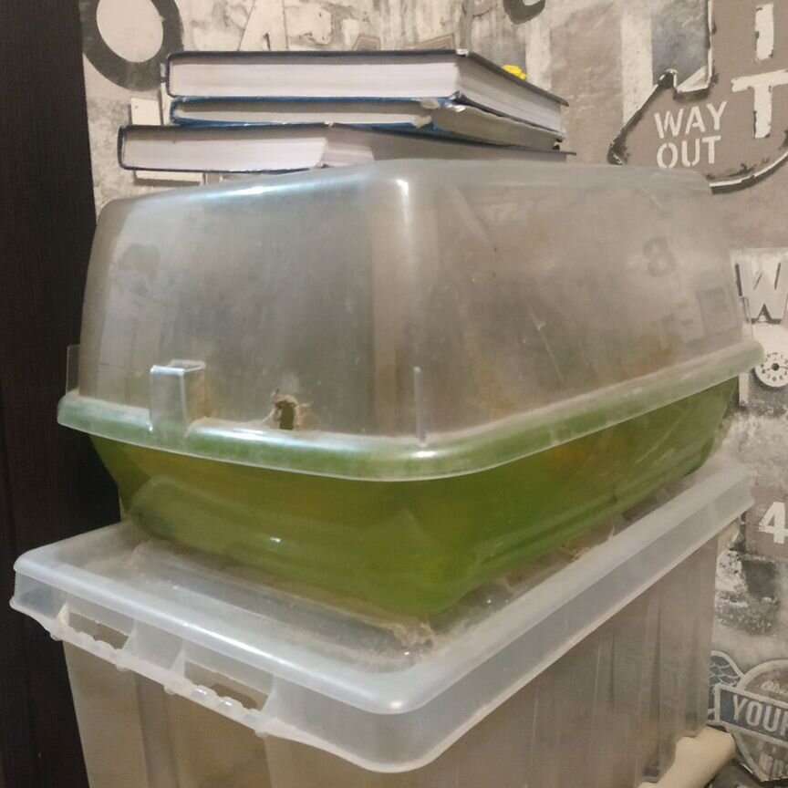 Аквариум для черепах