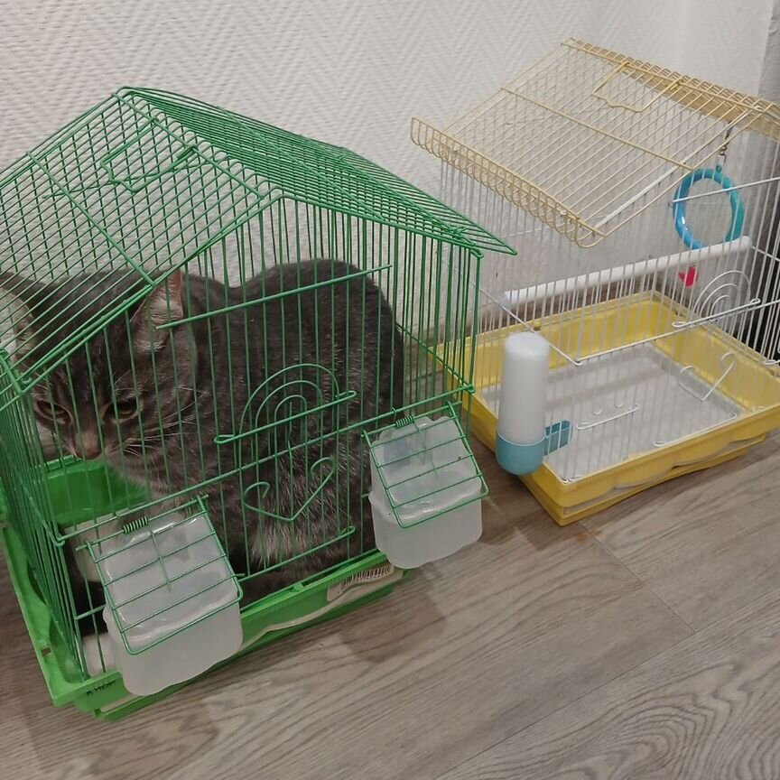 Клетка для попугая