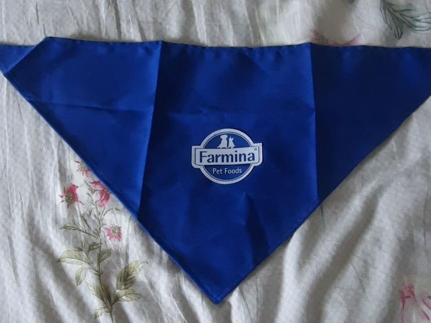 Бандана для собаки