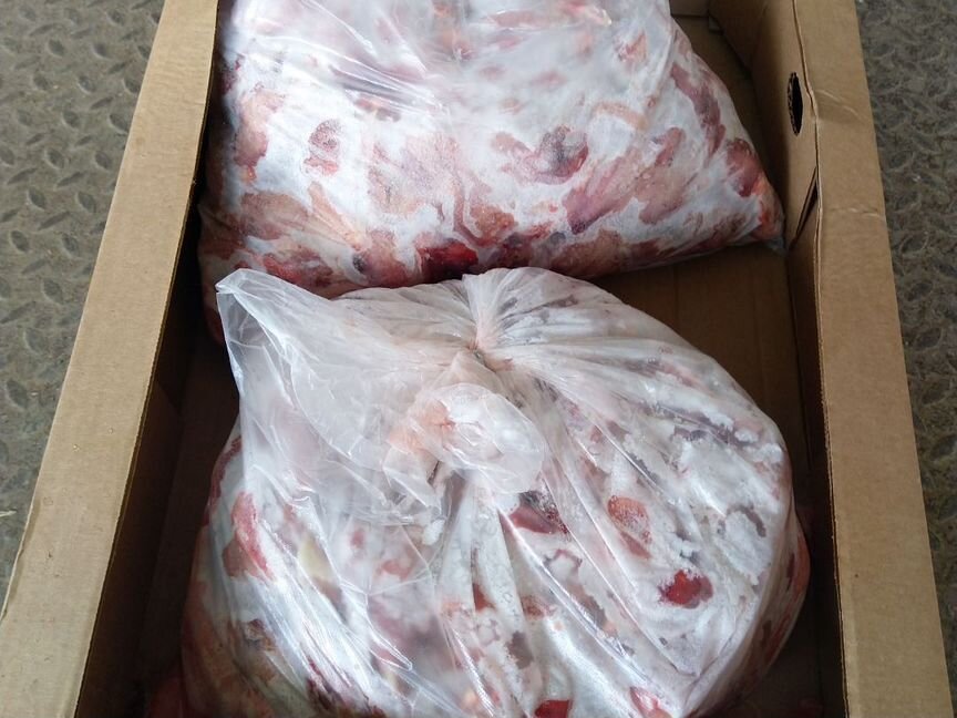 Головы цыплят бройлеров