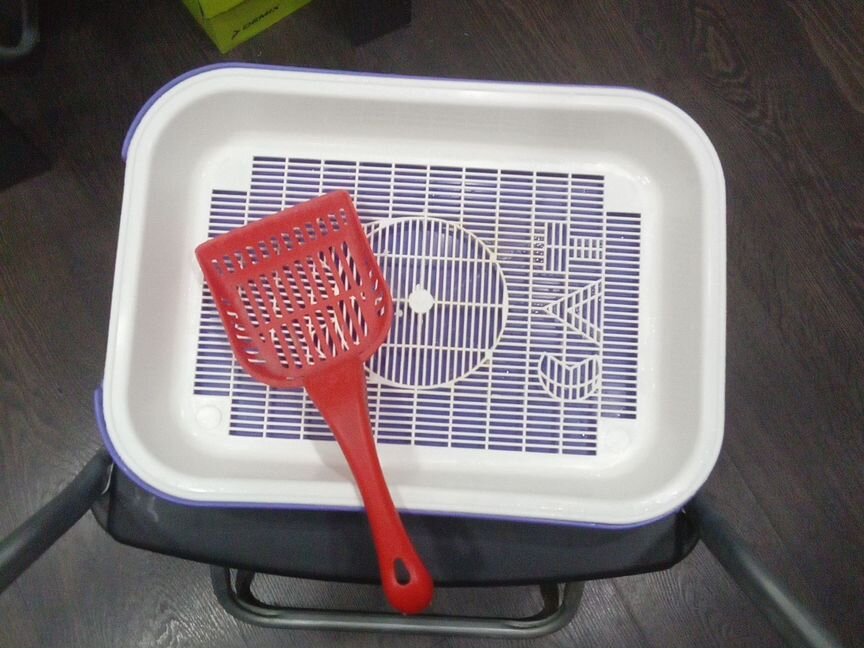 Лоток для котят