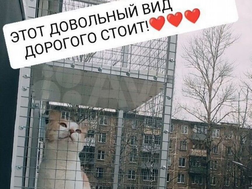 Балконы для выгула кошек