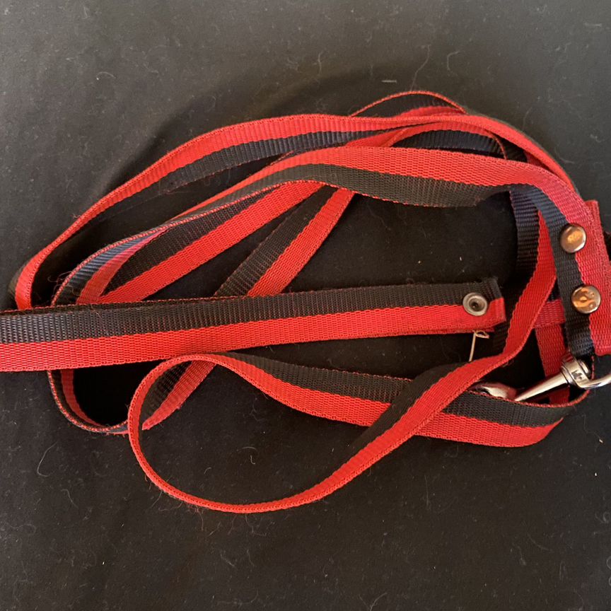 Амуниция для собак