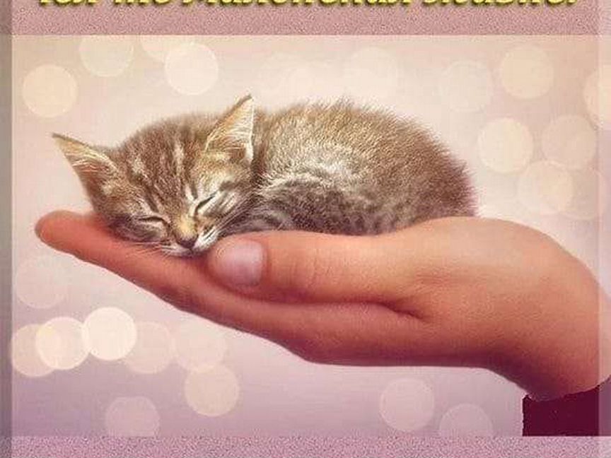 Ищем волонтёров