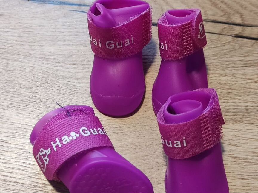 Резиновые сапоги для мелких пород собак