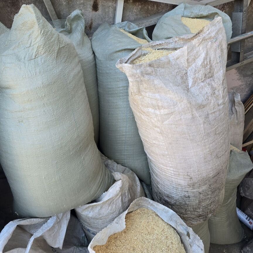 Опилки бесплатно