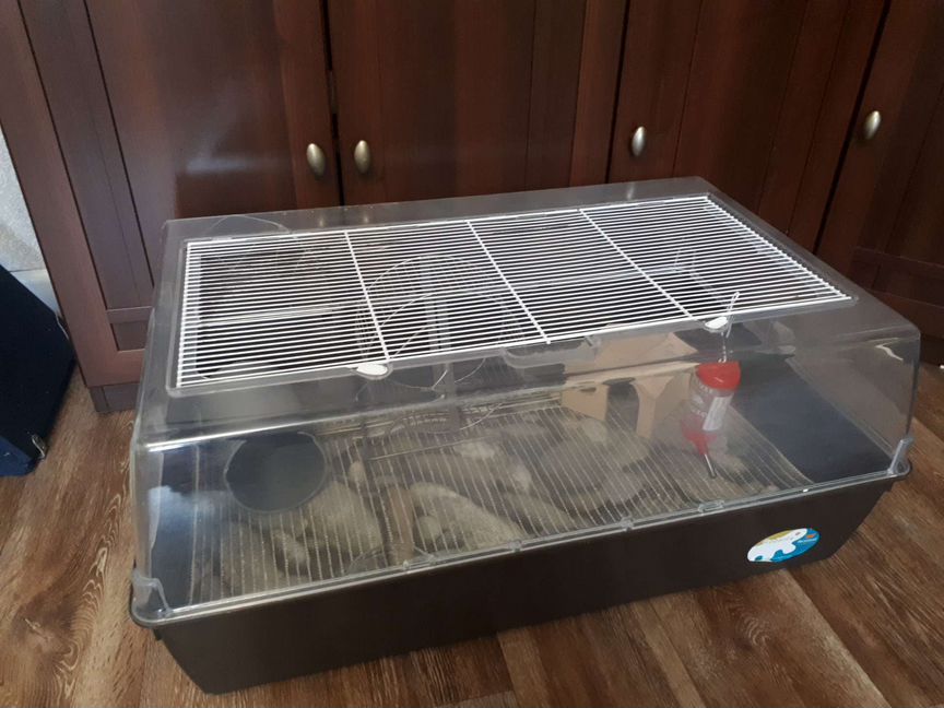 Клетка Ferplast Rodents