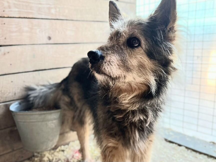 Ёлка остаток дней проведет за решеткой