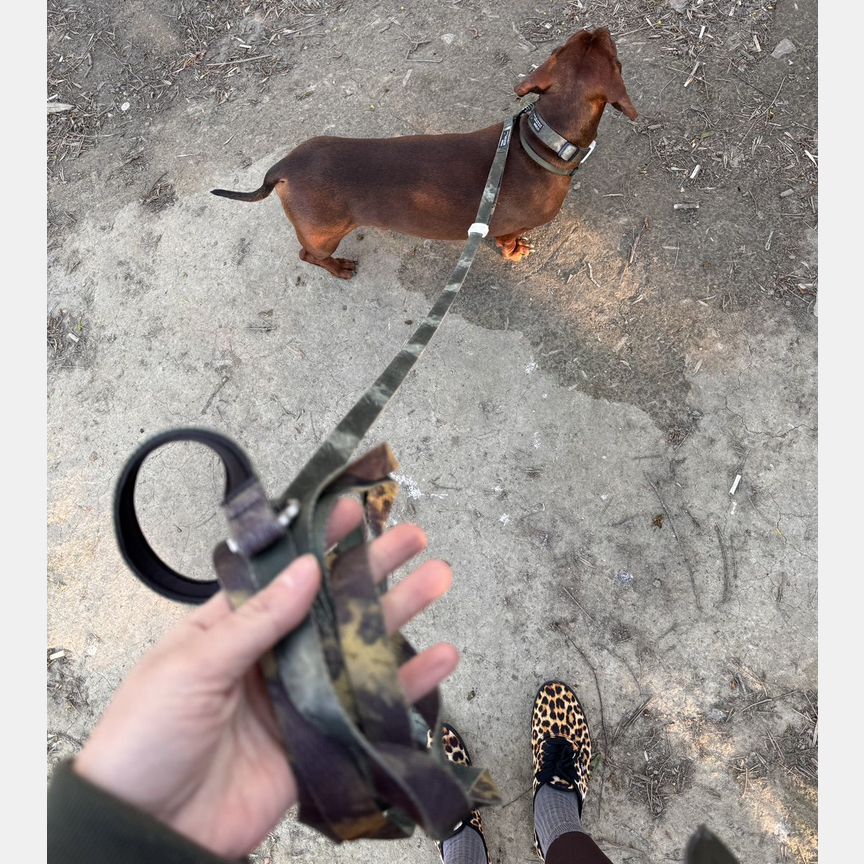 Поводок для собак staya dog