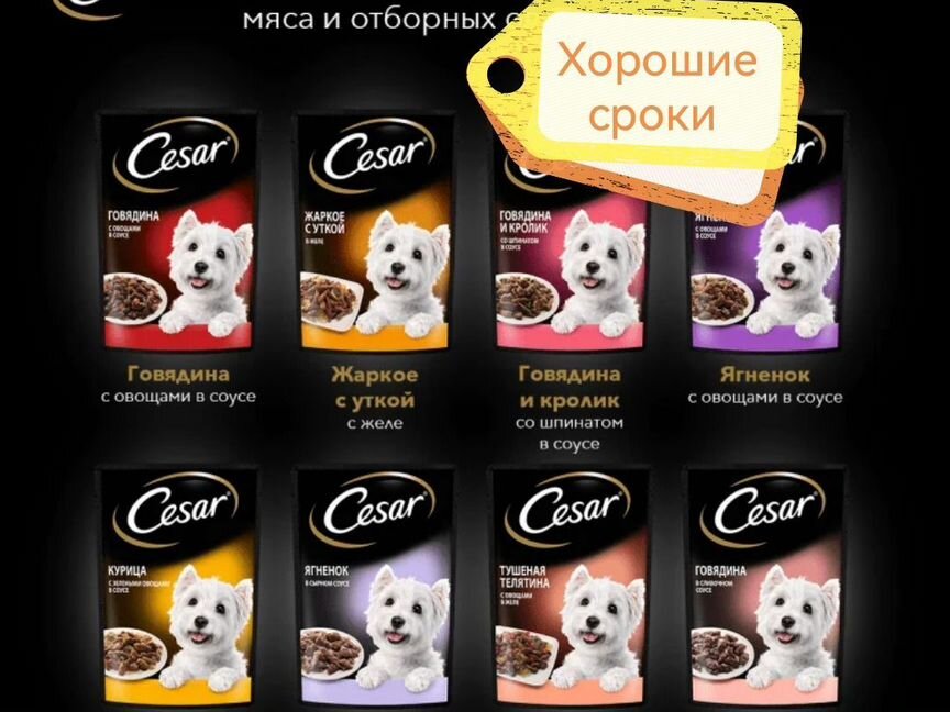 Cezar влажный корм для собак