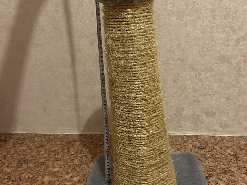 Когтеточка большая, устойчивая, бу