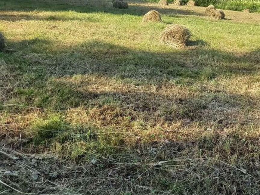 Сено луговое в рулонах 20кг