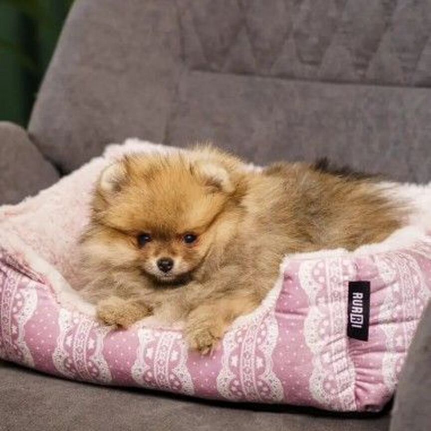 Лежак для кошек и собак мелких и средних пород