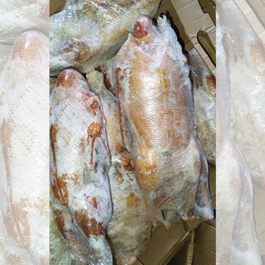 На корм собакам