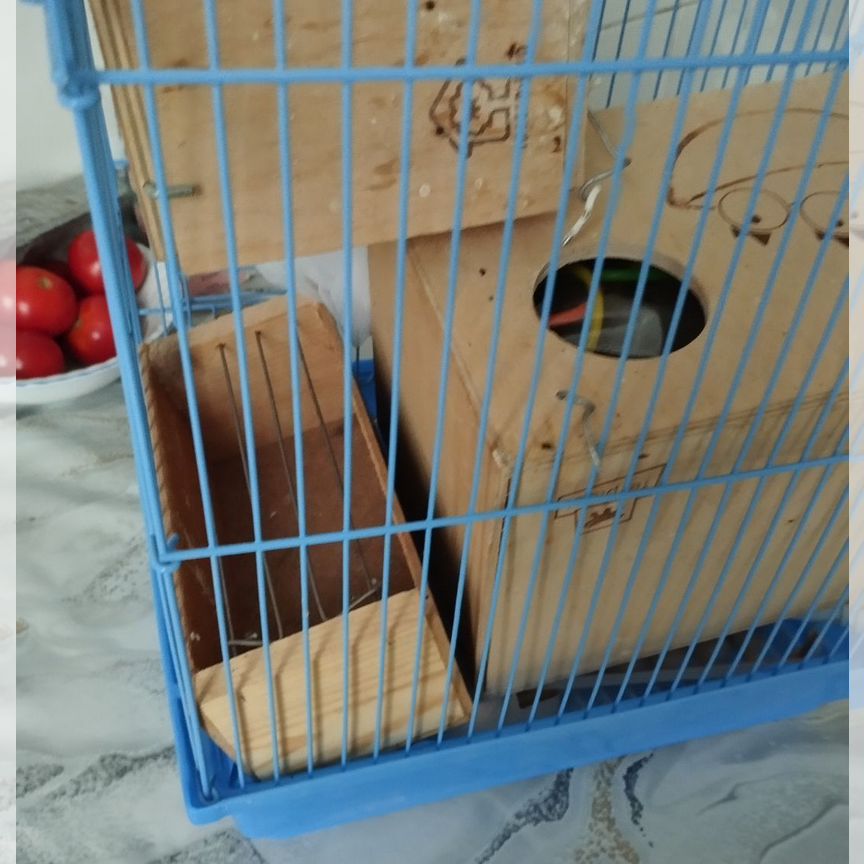 Клетка для попугая