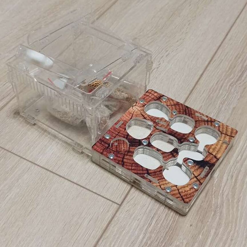 Муравьиная ферма бу