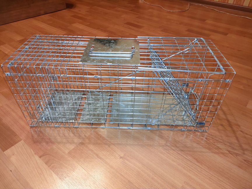 Котоловка