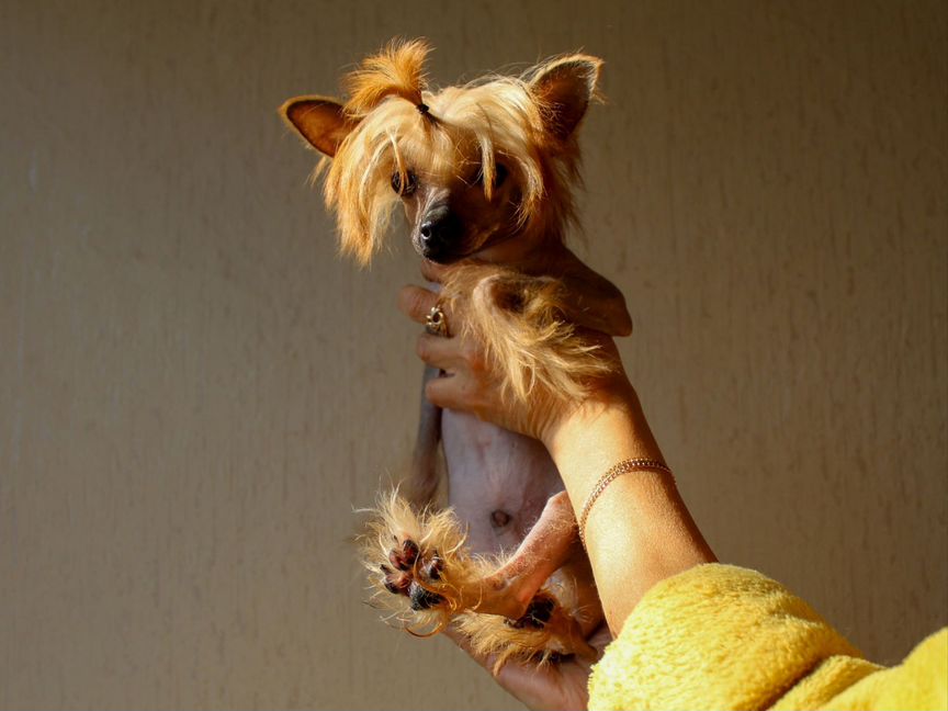 Супер миник