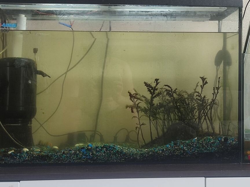 Аквариум