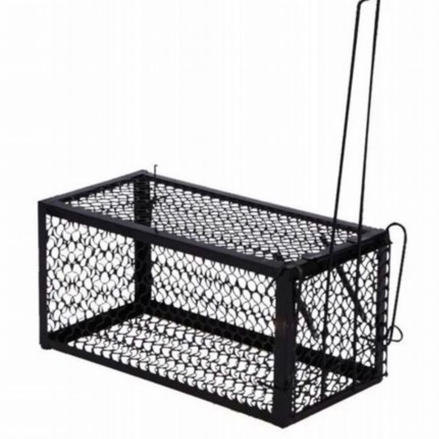 Мышеловка гуманная