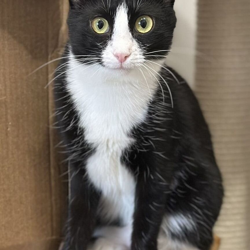 Максим в самые надёжные руки