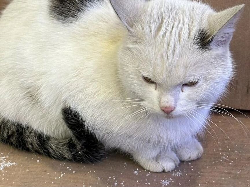 Выгнали на улицу