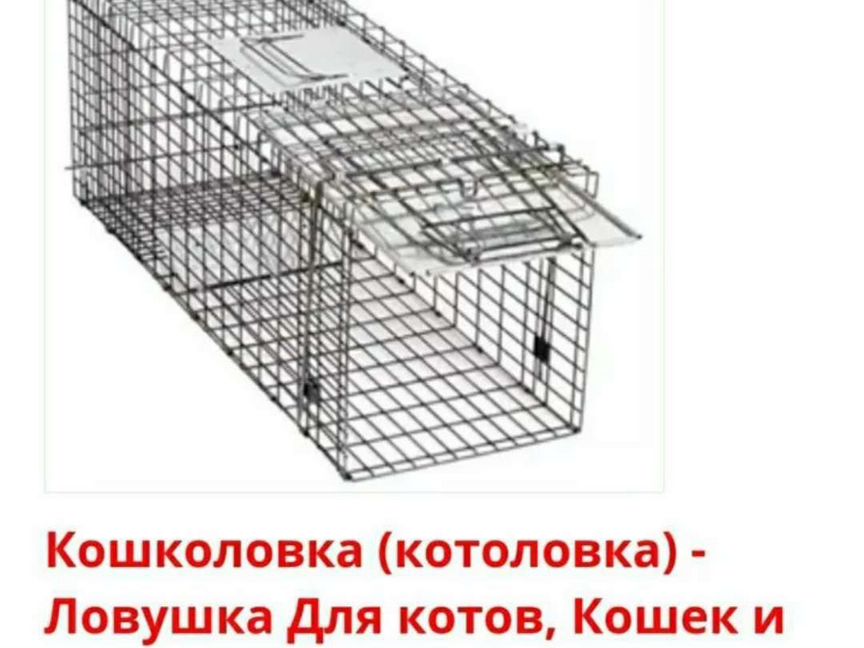 Кошколовка