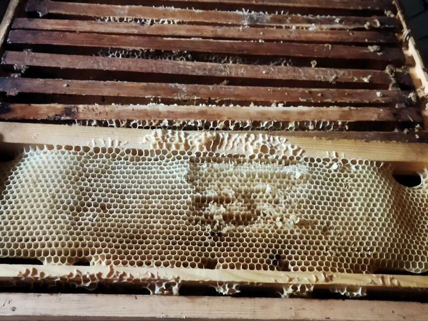 Рамки с сушью для ульев. Магазины для ульев