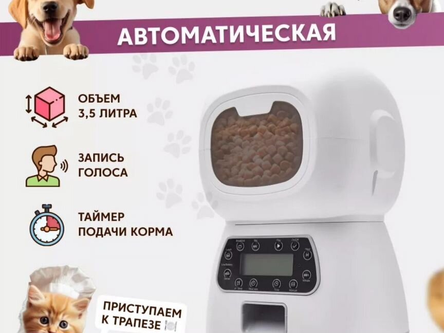 Умная автокормушка для животных