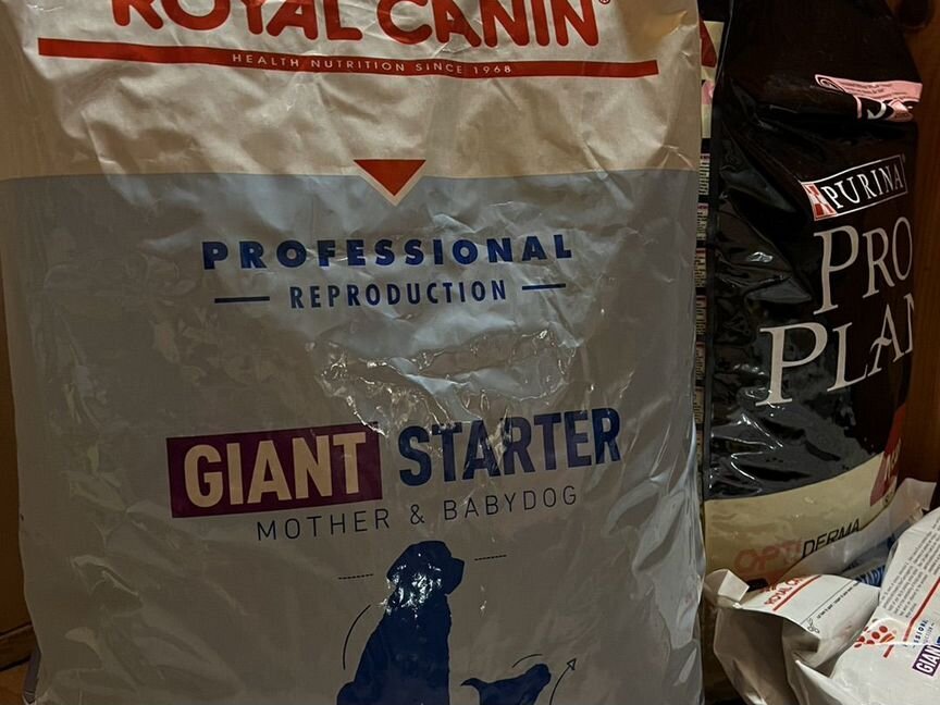 Корм royal canin giant starter