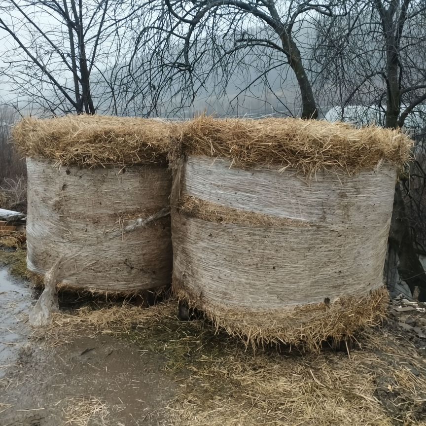 Солома в рулонах