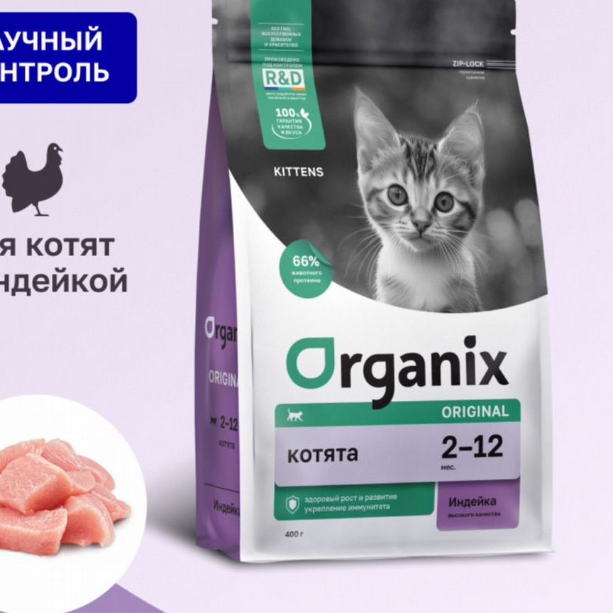 Корм для котят