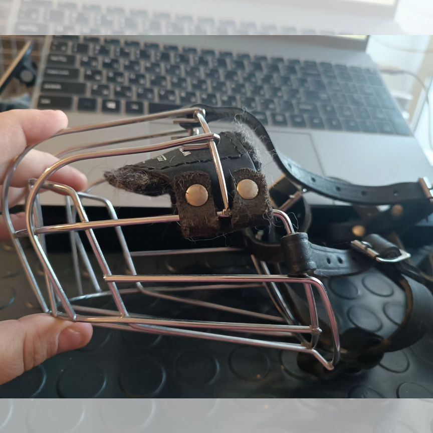 Намордники для собак fordogtrainers