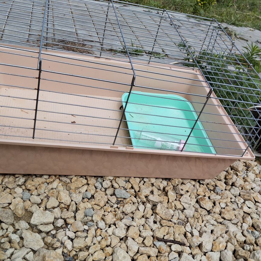 Клетка для кролика, морской свинки