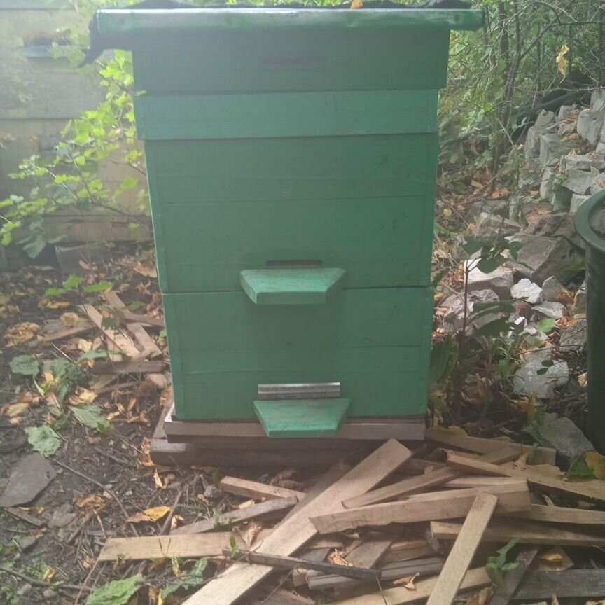 Улей б/у рута и дадан