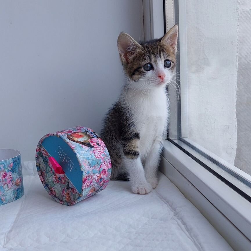 Варенька бронь до 16.08