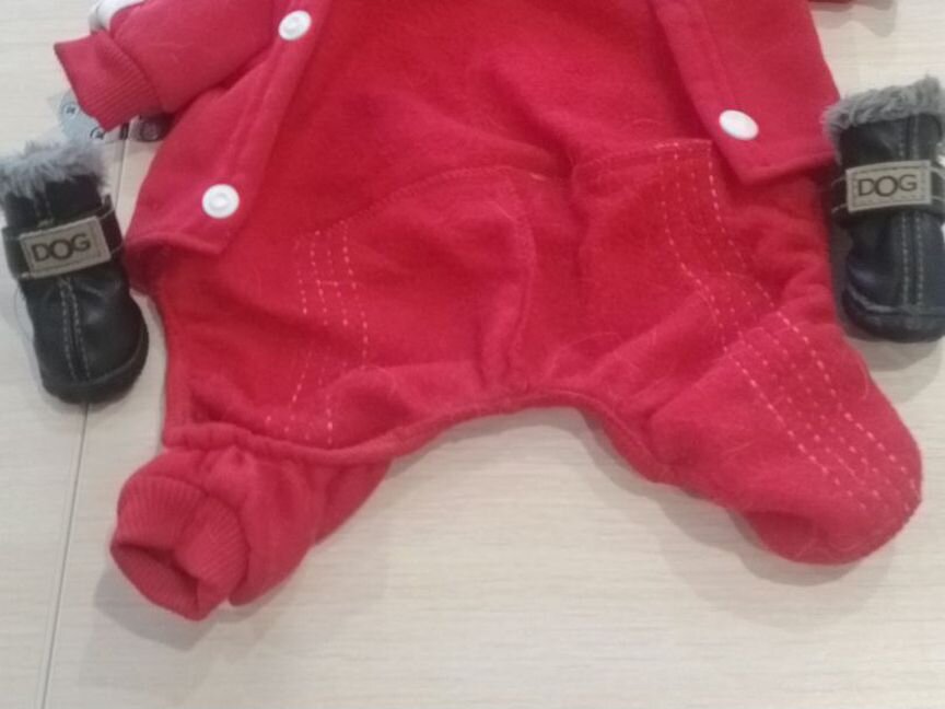 Одежда и обувь для маленьких собак