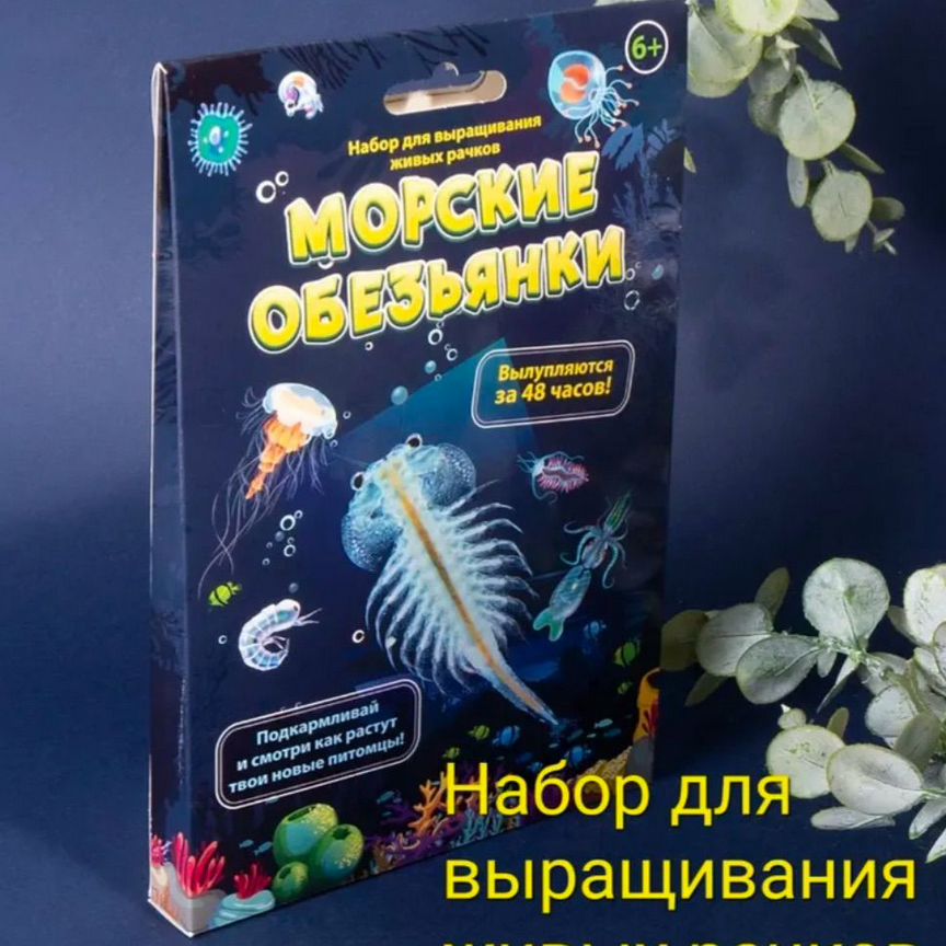Набор для выращивания живых морских очков