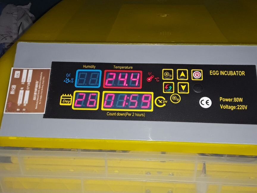 Инкубатор для яиц автоматический бу
