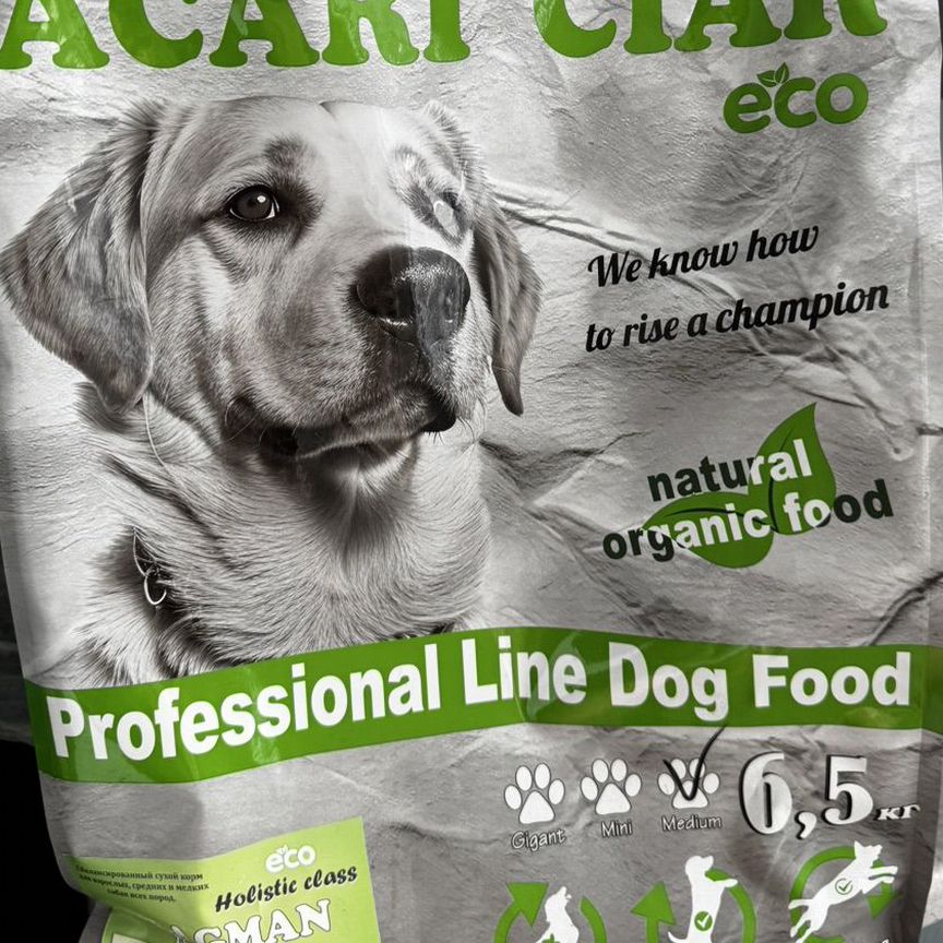 Корм для собак