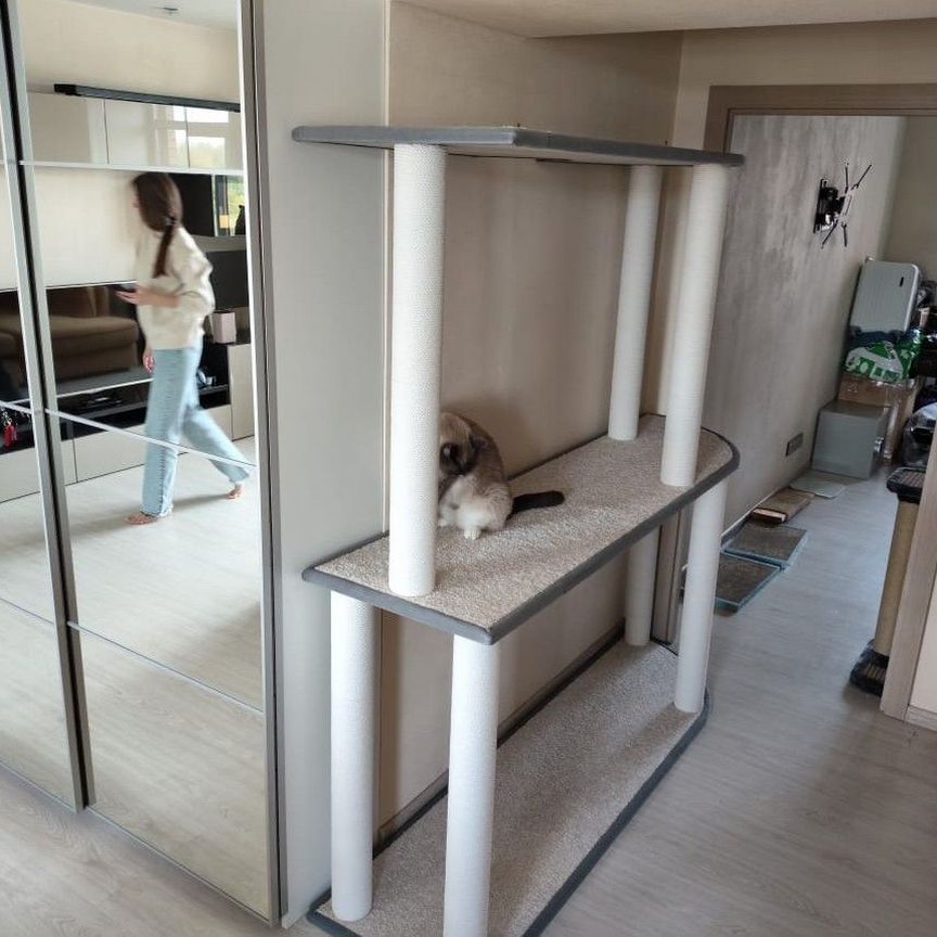 Кошачий комплекс