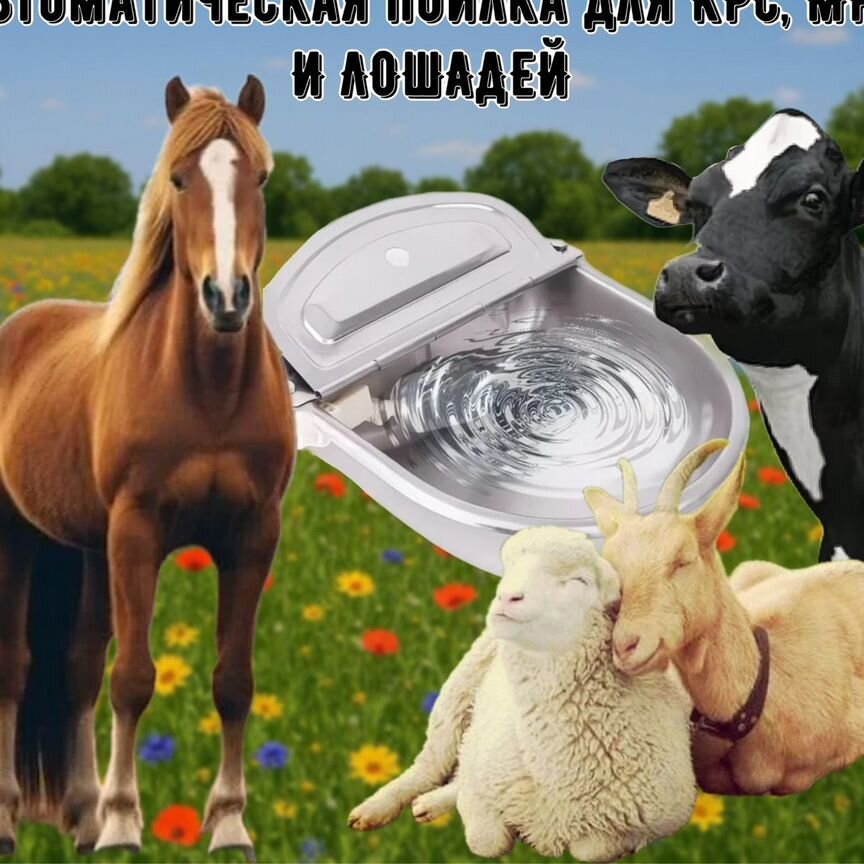 Автоматическая поилка для крс мрс и лошадей