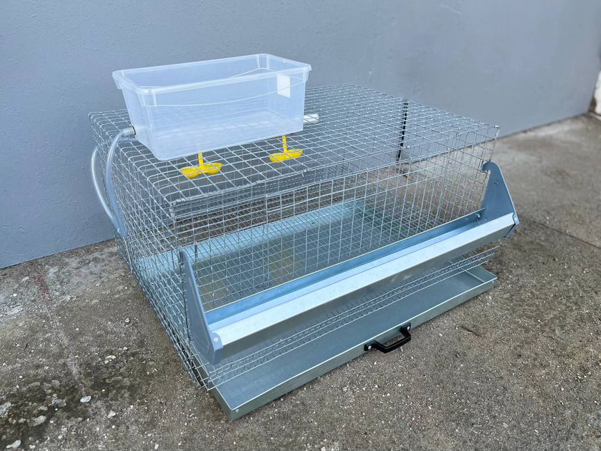 Клетка для перепелов на 30 голов